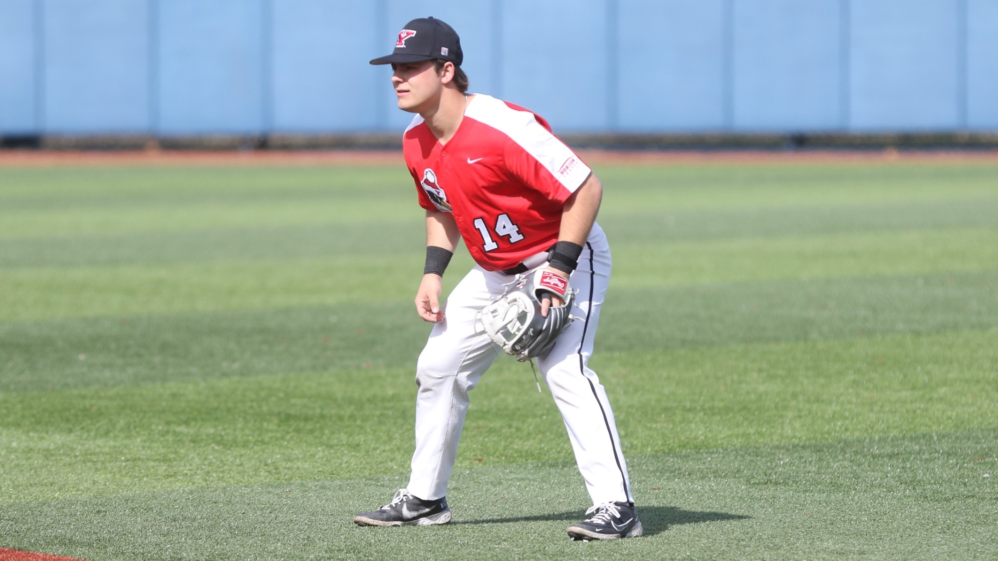 Brett Stanley - 2024 - Baseball - Youngstown State University