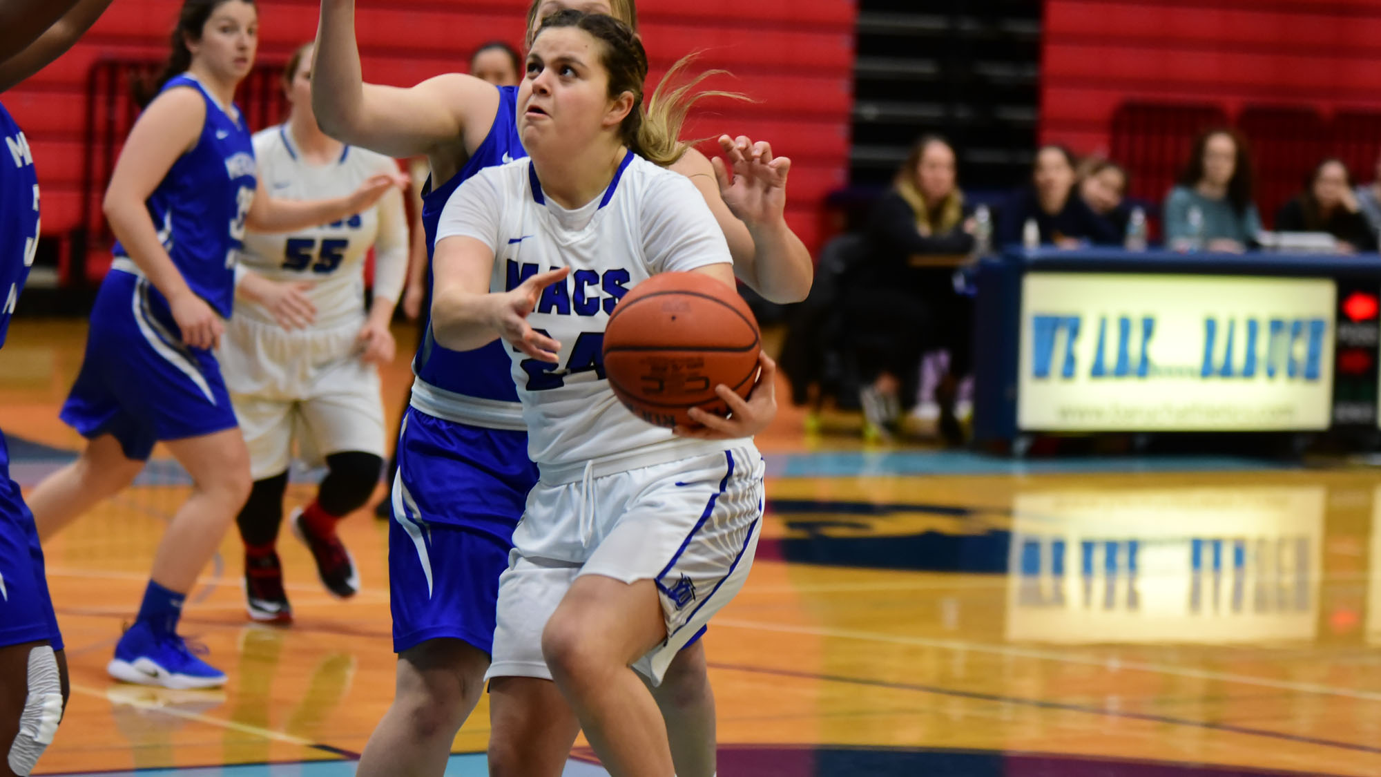Celia Cohen - Women's Basketball - Yeshiva University Athletics