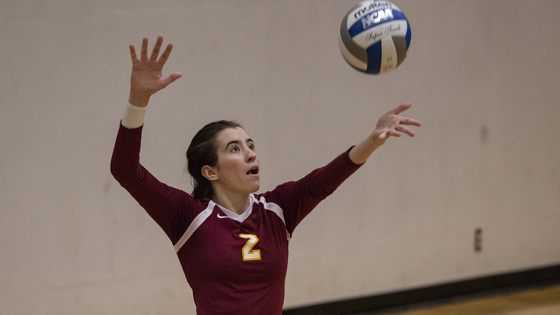 Mikayla Price - Volleyball - Yakima Valley College Athletics