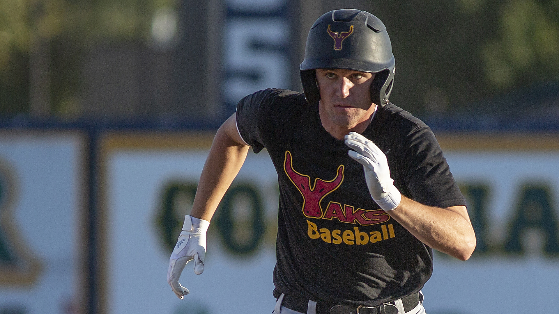 Hunter Anderson - Baseball - Yakima Valley College Athletics