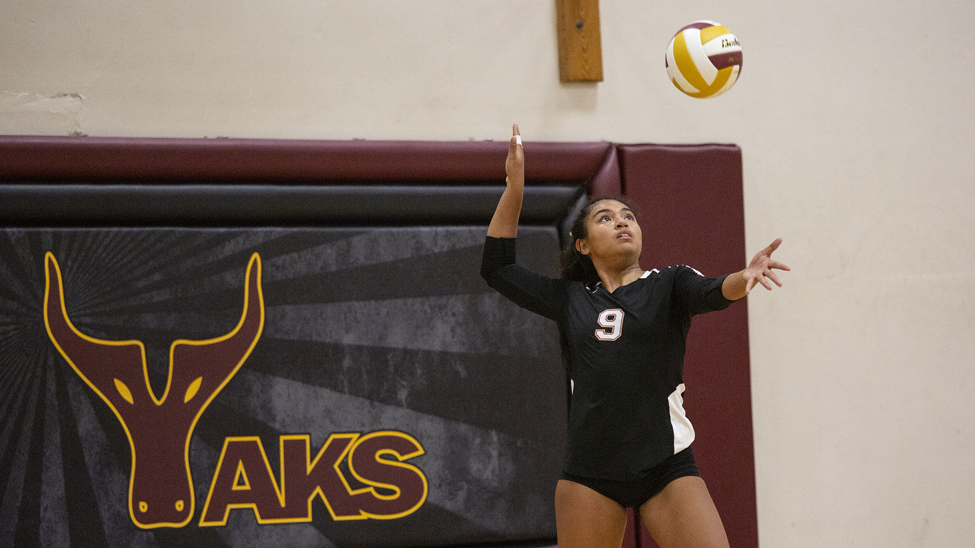Shaydee Afoa - Volleyball - Yakima Valley College Athletics