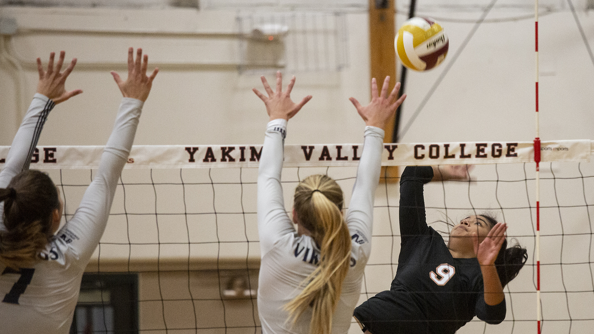 Shaydee Afoa - Volleyball - Yakima Valley College Athletics