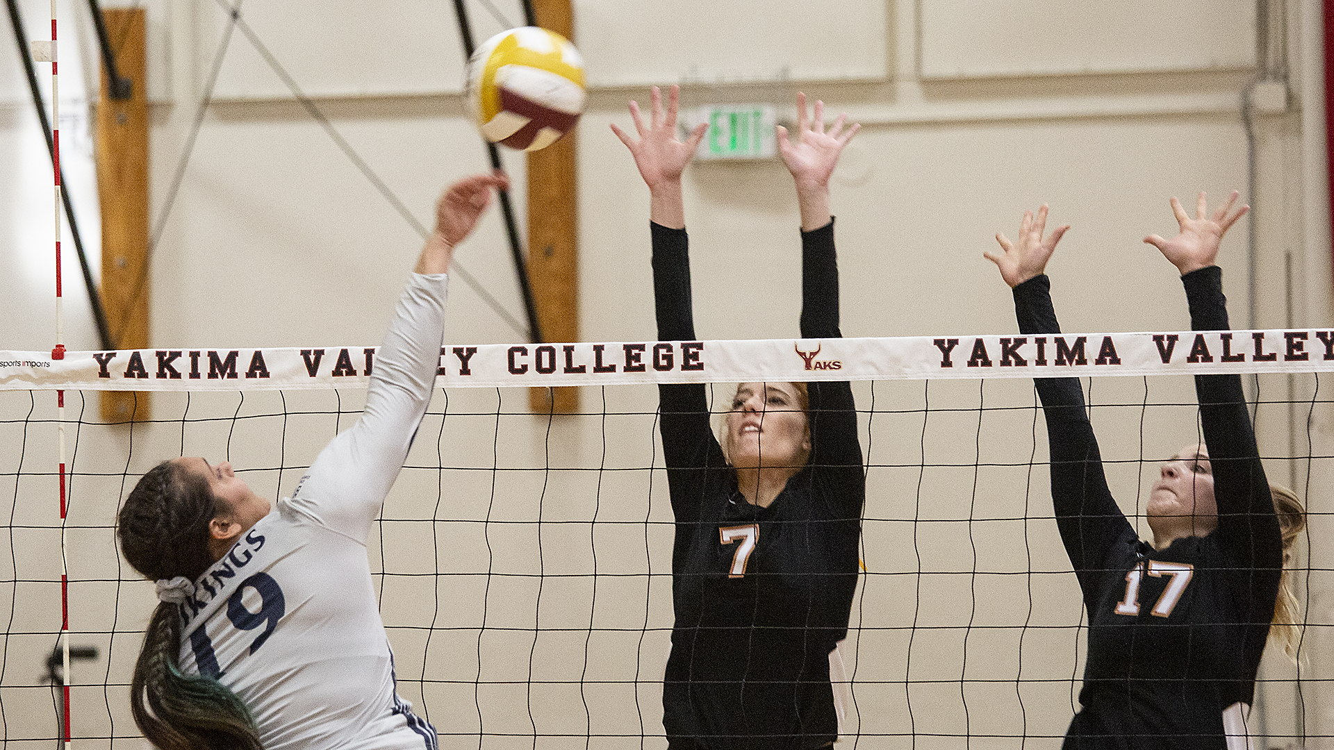 Taylor Chaney - Volleyball - Yakima Valley College Athletics