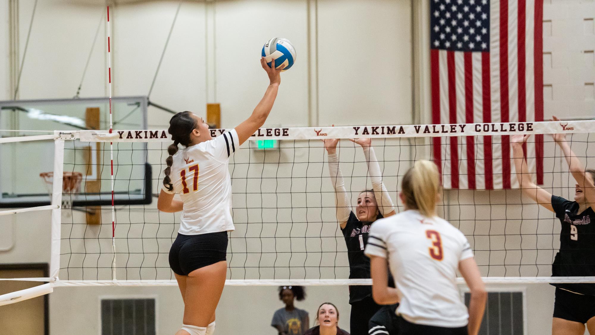 Jessica Mariscal - Volleyball - Yakima Valley College Athletics