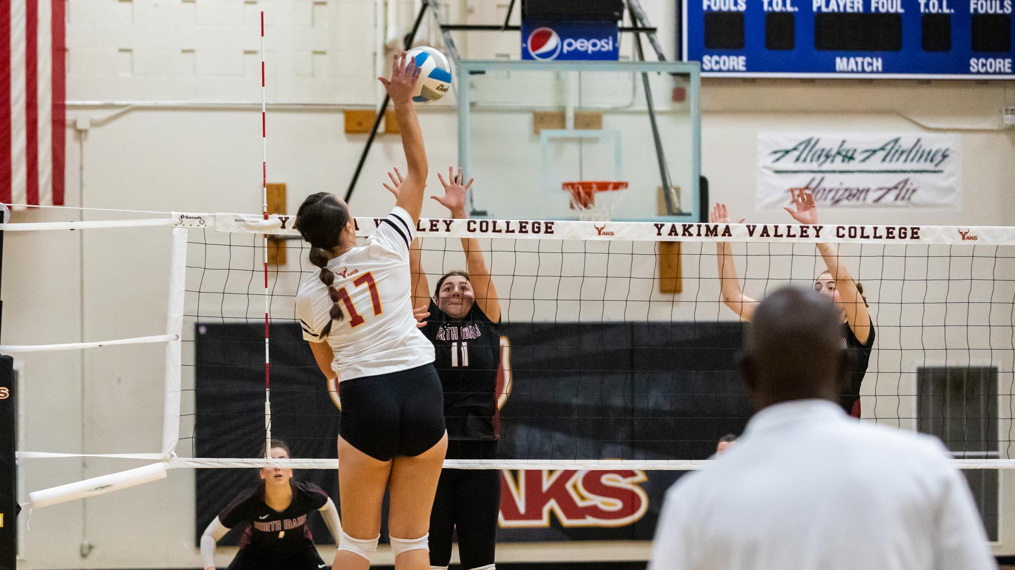 Jessica Mariscal - Volleyball - Yakima Valley College Athletics