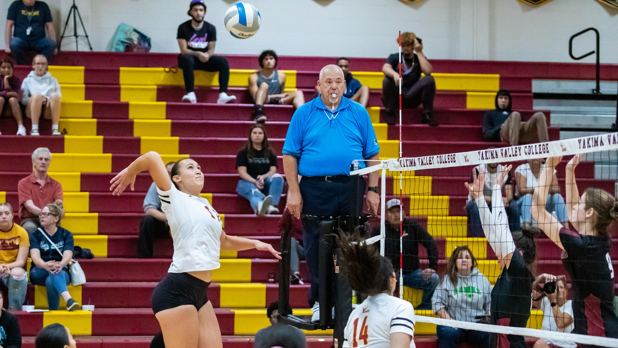 Jessica Mariscal - Volleyball - Yakima Valley College Athletics